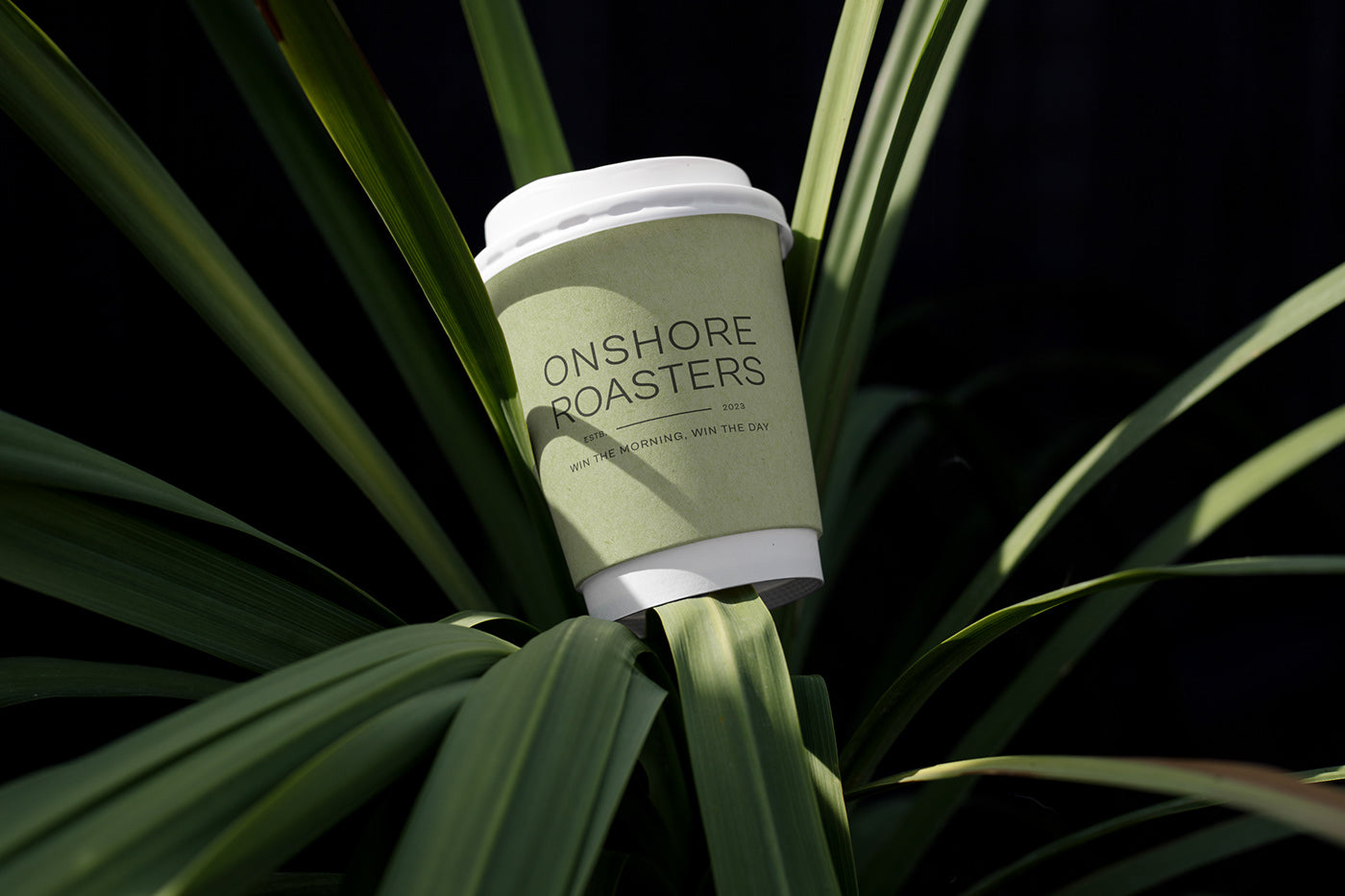 Innovative Custom Packaging Solutions for the Modern Food Industry ...