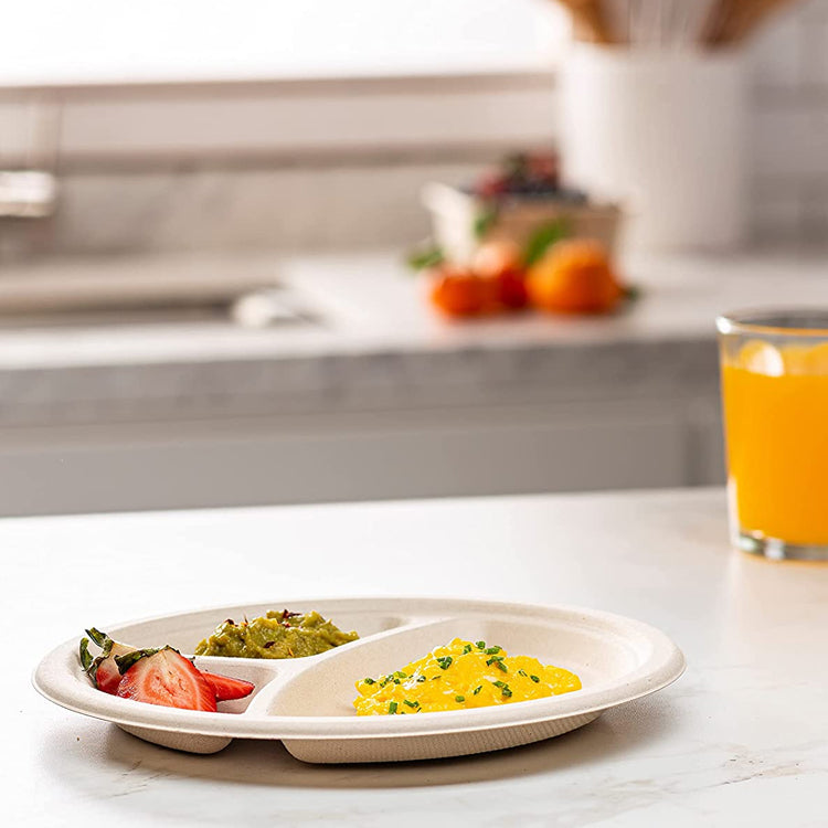 Earth Friendly Disposable Plates for Eco Food Service | Fastfoodpak